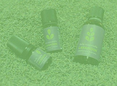 Lavandaïs en Provence, the online shop specialising in lavender!
